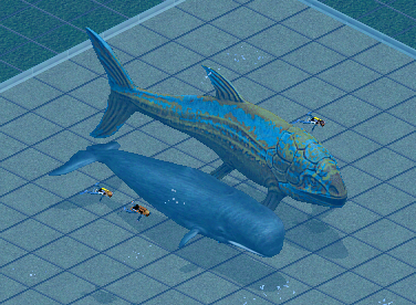 Leedsichthys | ZooBerry