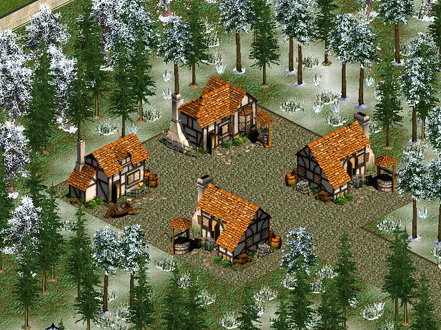AOE2 Houses | ZooBerry