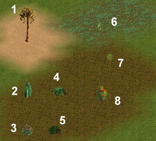 WLP1 Foliage Pack Part 5 | ZooBerry