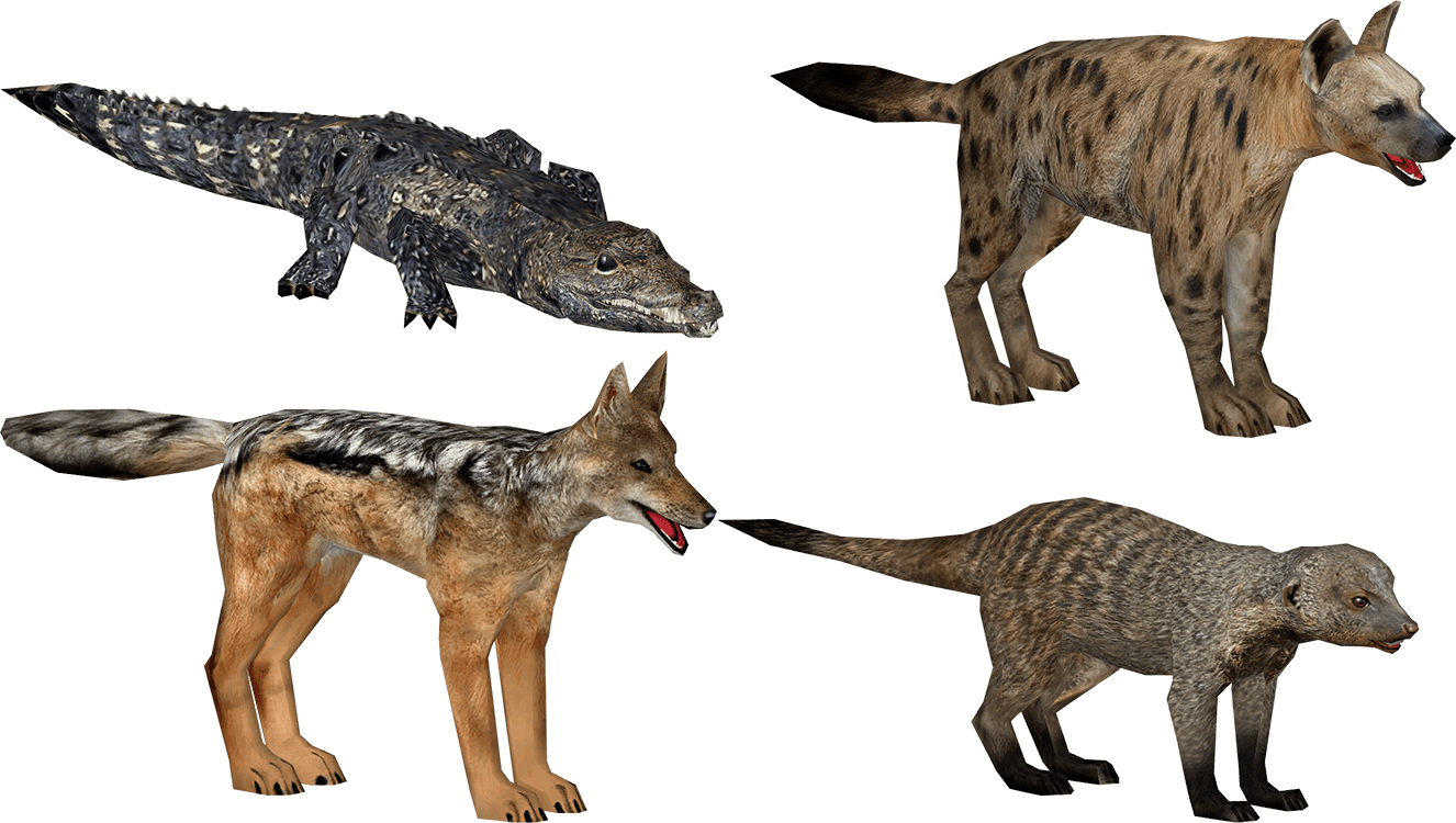 African Safari Pack | ZooBerry