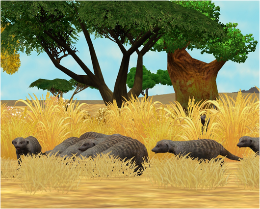 African Safari Pack | ZooBerry