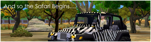 African Safari Pack | ZooBerry