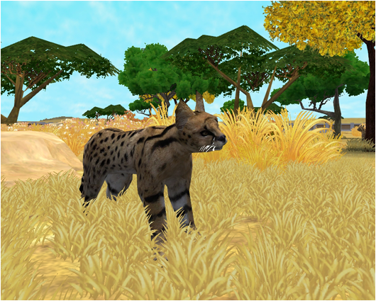 African Safari Pack | ZooBerry