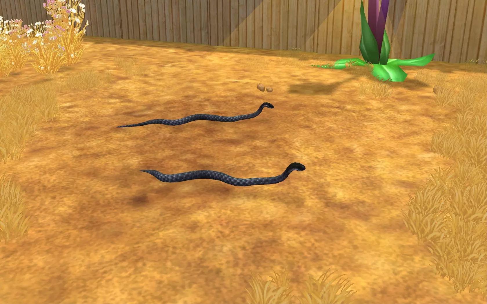 Africa's Spitters + Mini Snake Pack | ZooBerry