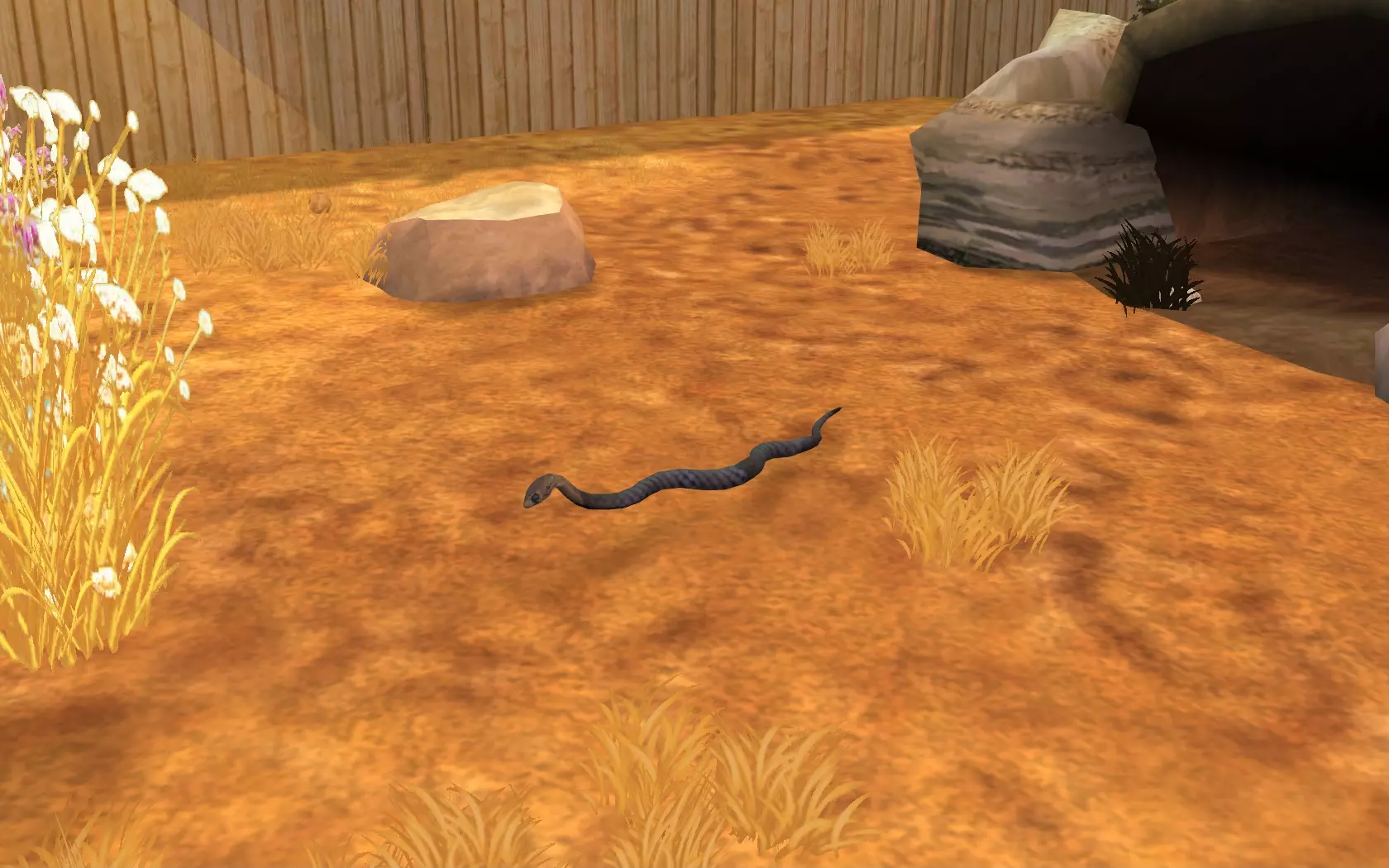 Africa's Spitters + Mini Snake Pack | ZooBerry