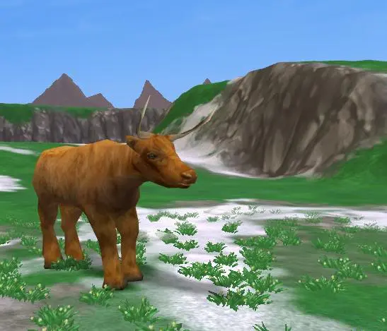 European Pack I | ZooBerry