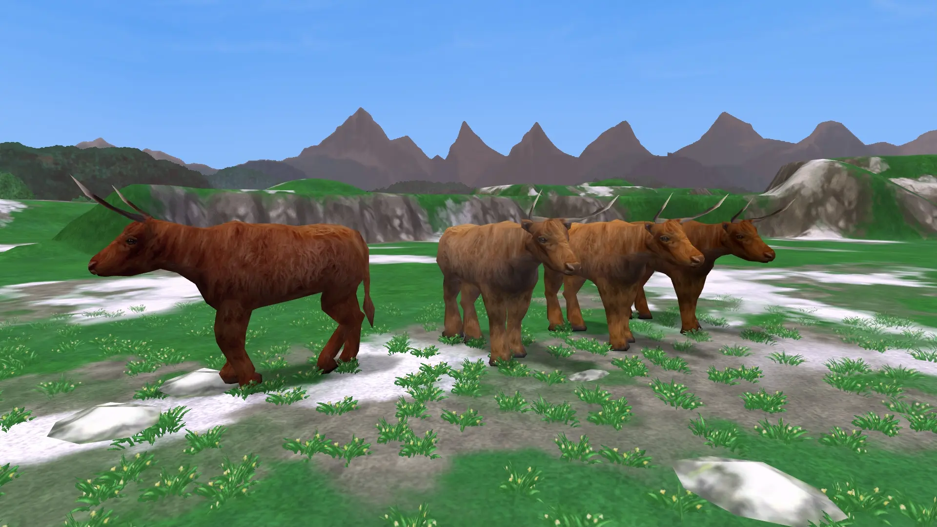 European Pack I | ZooBerry