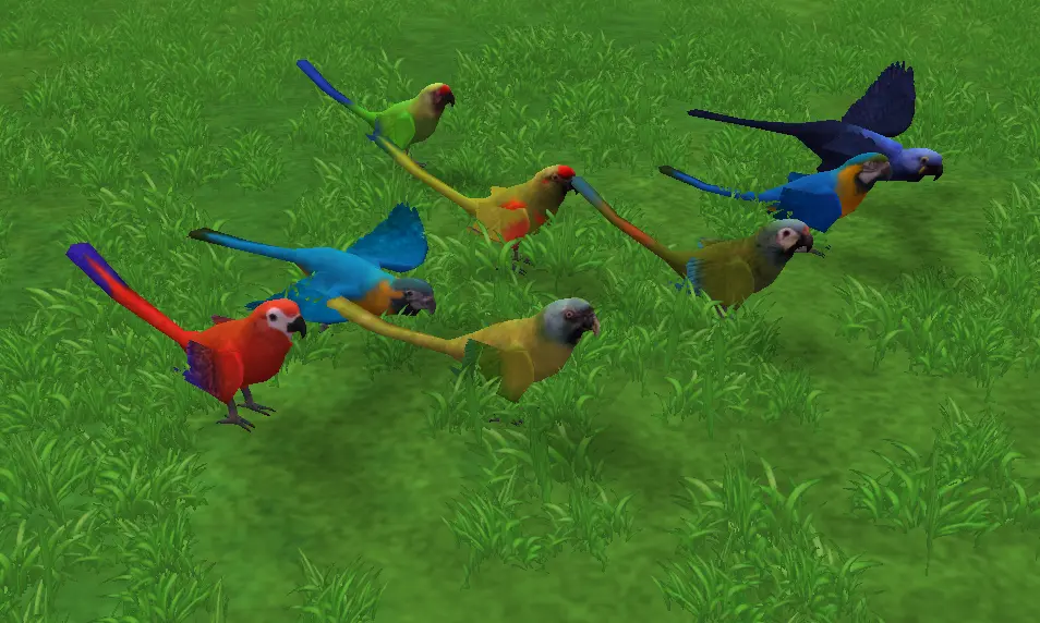 Macaw Pack P1 | ZooBerry