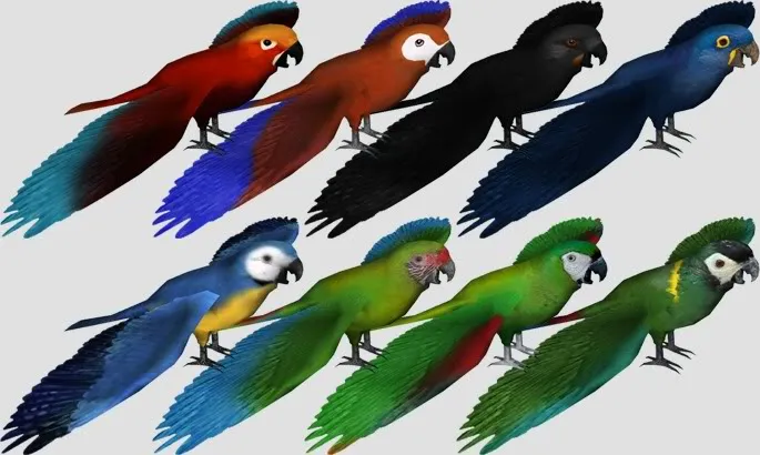 Macaw Pack P2 | ZooBerry