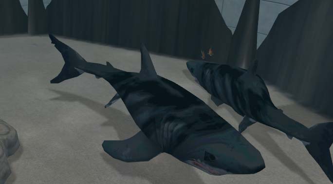 Shark Pack 1 | ZooBerry