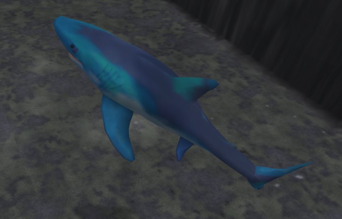 Shark Pack 1 | ZooBerry