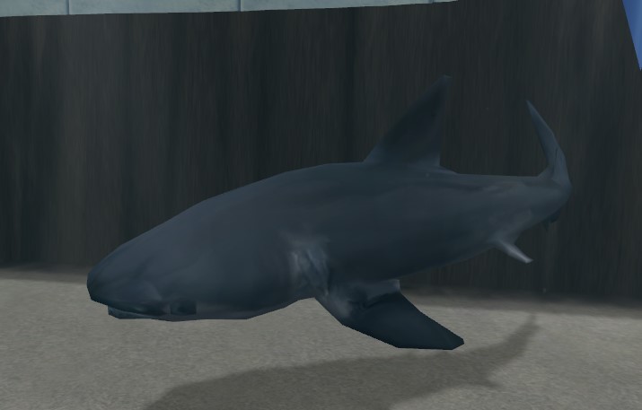 Shark Pack 2 | ZooBerry