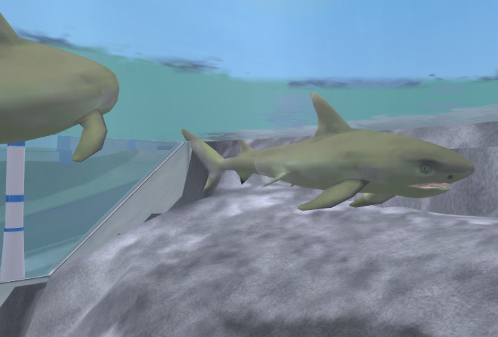 Shark Pack 2 | ZooBerry