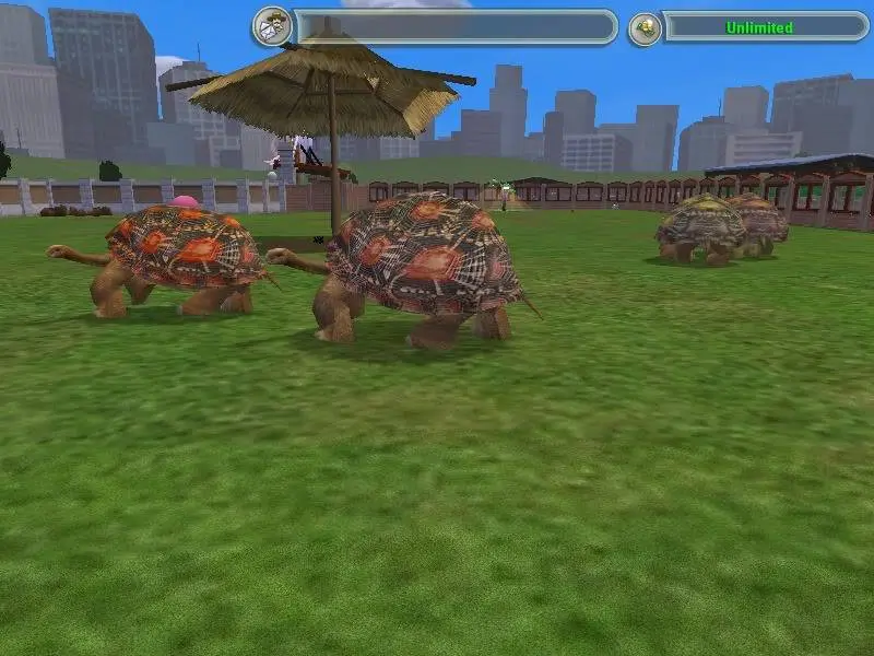 Colossochelys | ZooBerry