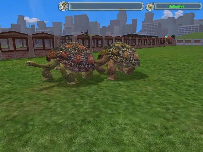 Colossochelys | ZooBerry