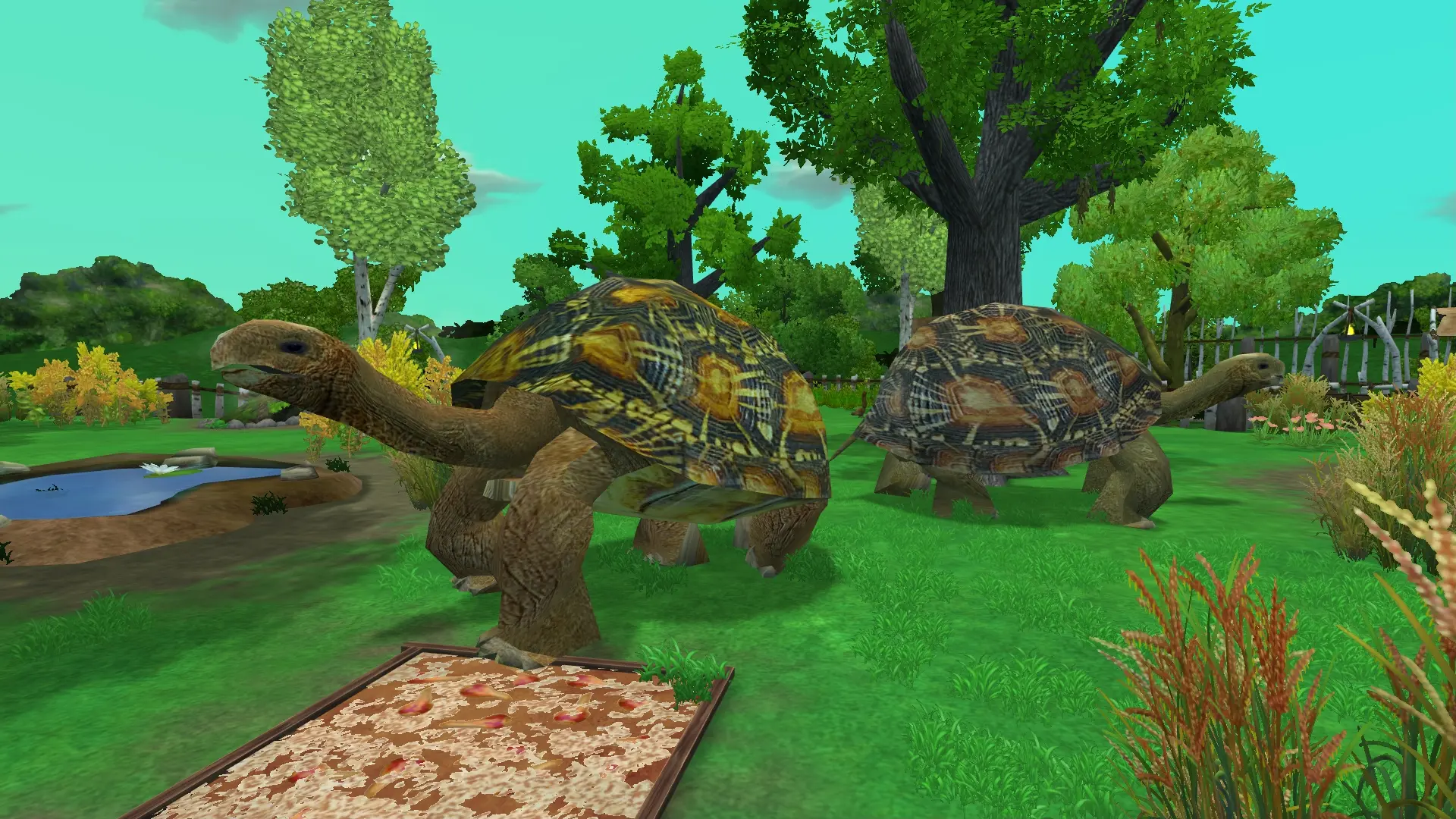 Colossochelys | ZooBerry