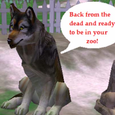Dire Wolf | ZooBerry
