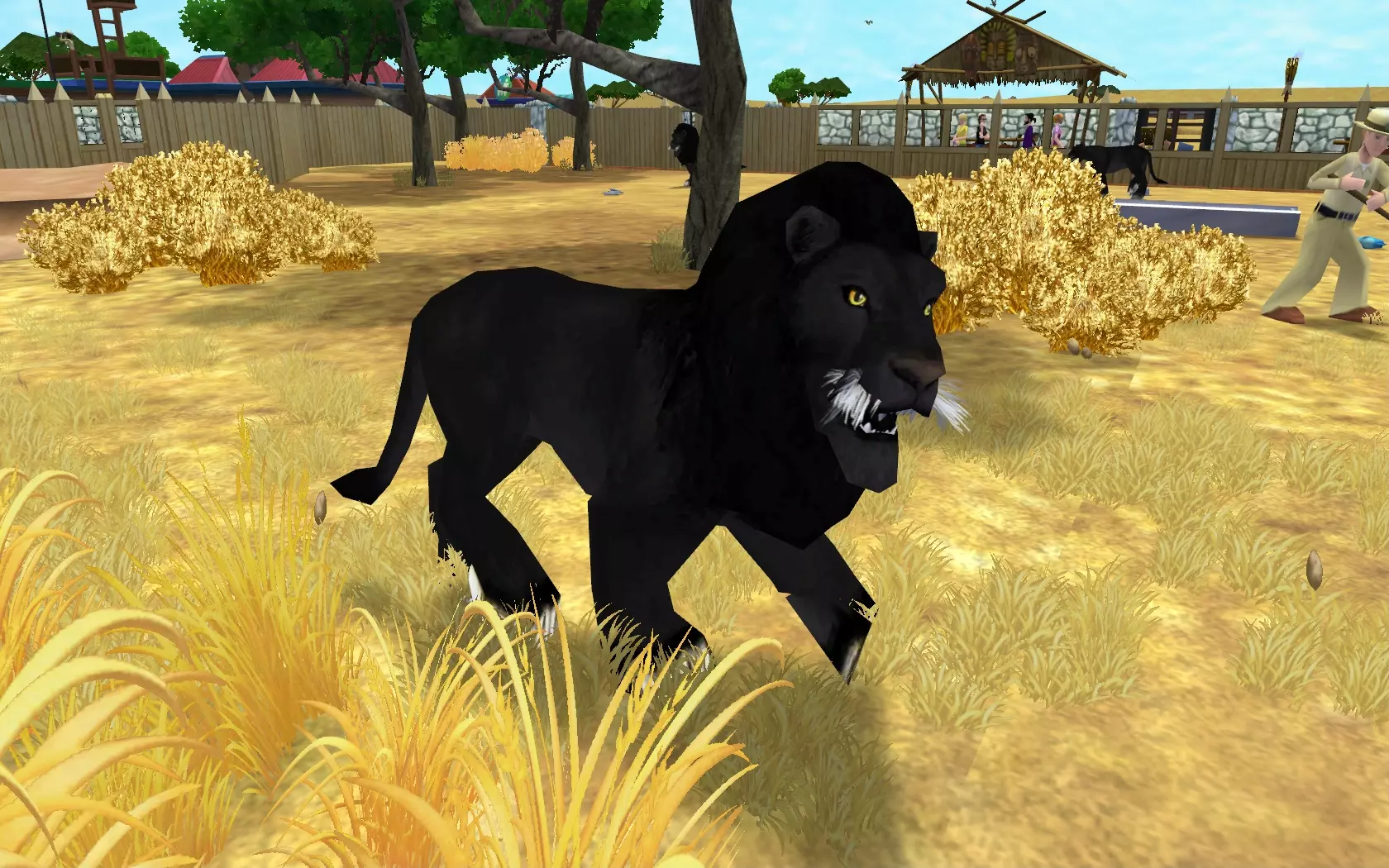 Black Lion | ZooBerry