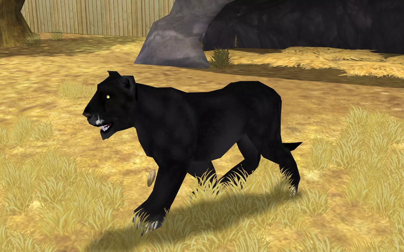 Black Lion | ZooBerry