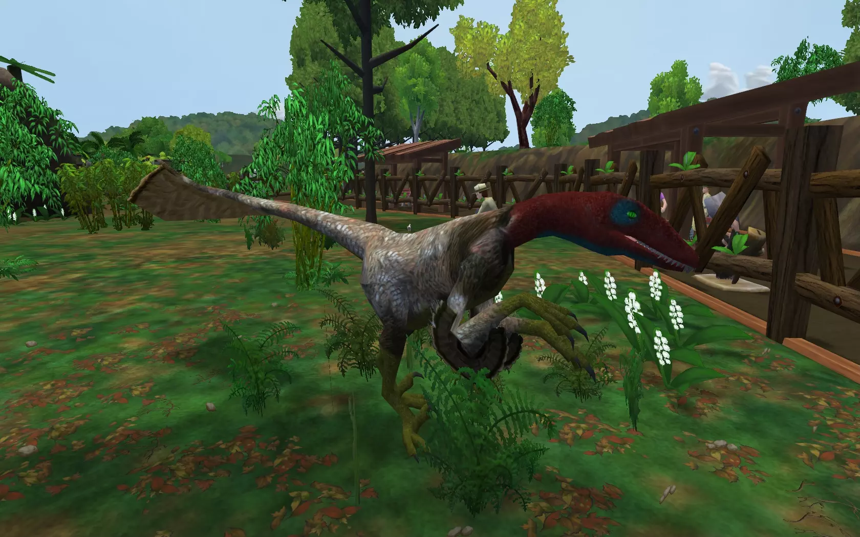 Turkey Raptor | ZooBerry