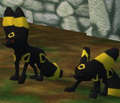 Umbreon and Blue Umbreon | ZooBerry