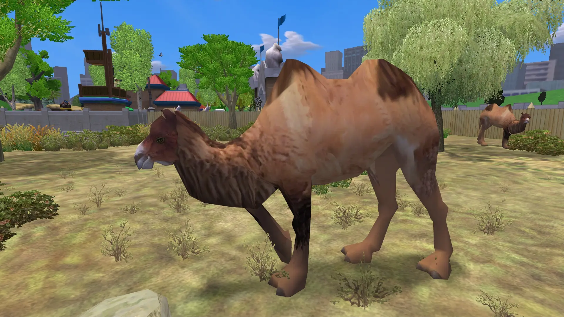 Bactrian Camel | ZooBerry