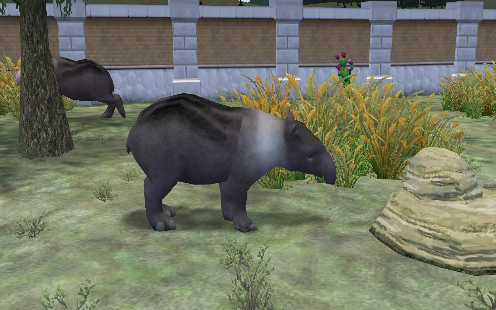 Chacoan Peccary | ZooBerry