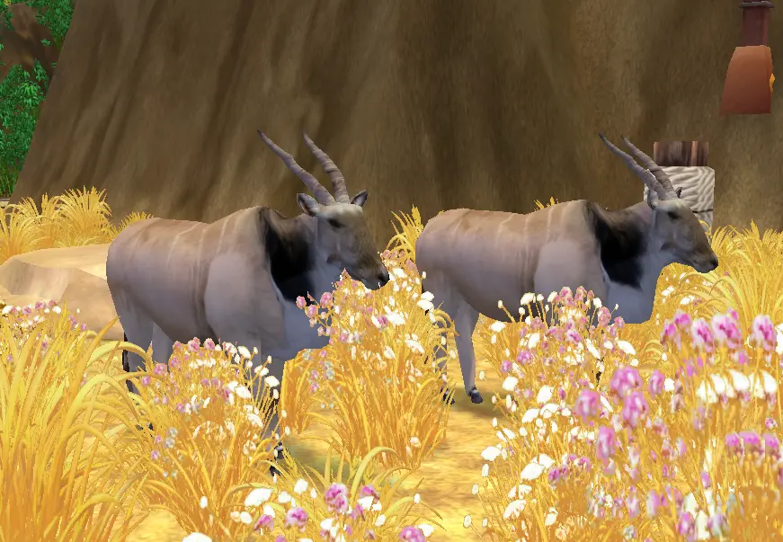 Giant Eland II | ZooBerry