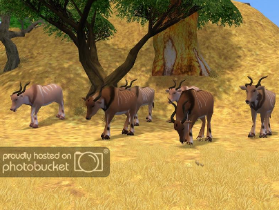 Giant Eland | ZooBerry