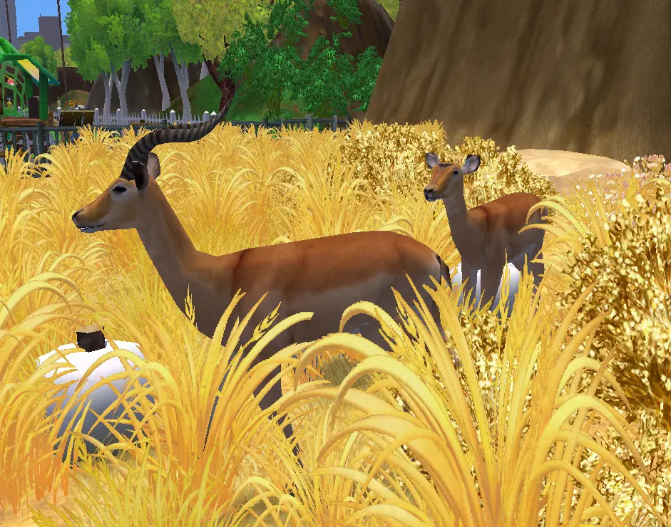 Impala | ZooBerry