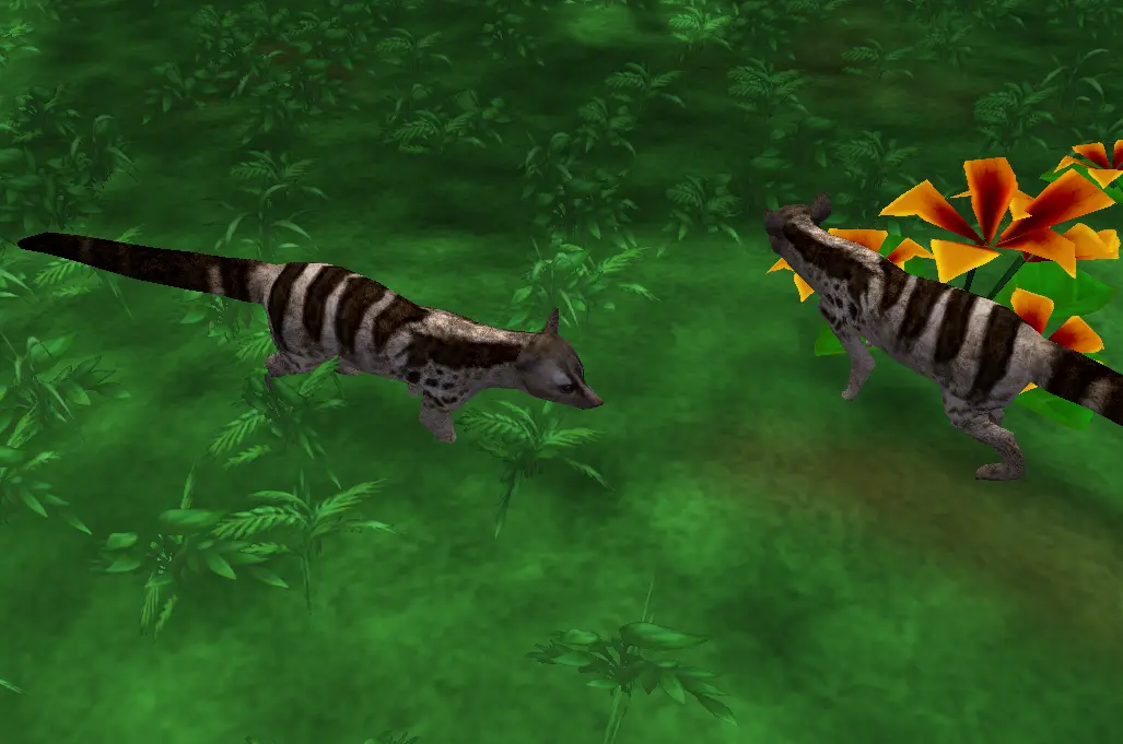 Owston's Palm Civet | ZooBerry