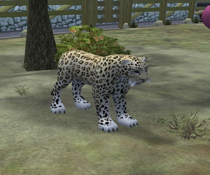 Persian Leopard | ZooBerry