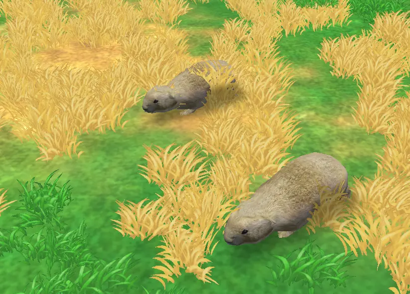 Prairie Dog | ZooBerry