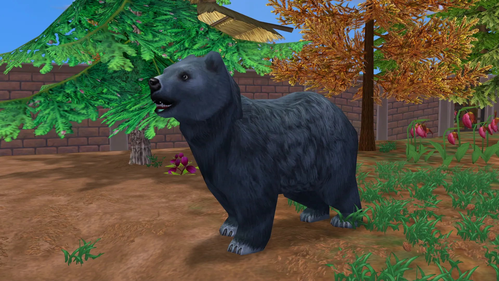 Tibetan Blue Bear