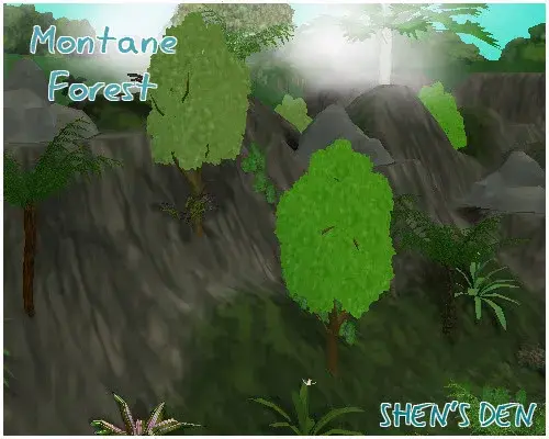 Montane Forest | ZooBerry