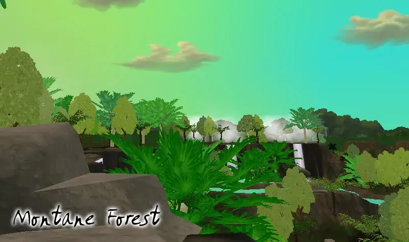 Montane Forest | ZooBerry