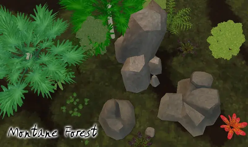 Montane Forest | ZooBerry