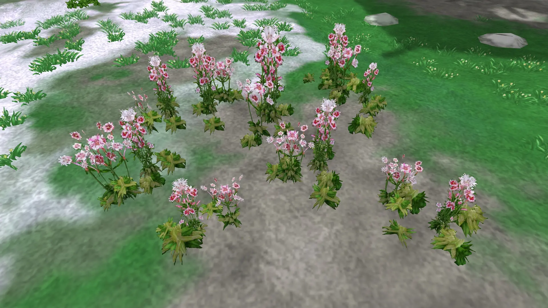 Alpine Pack | ZooBerry