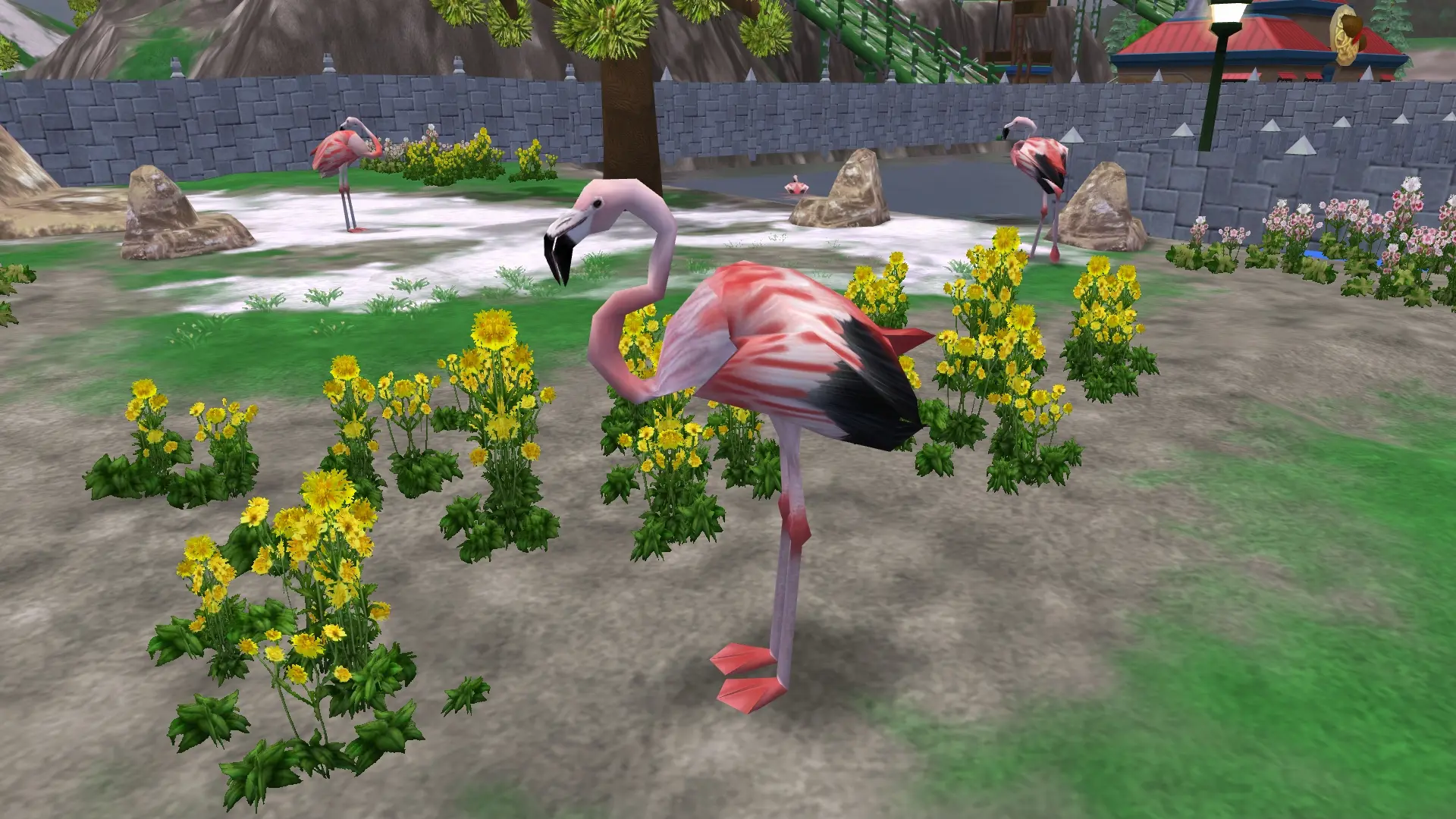 Alpine Pack | ZooBerry