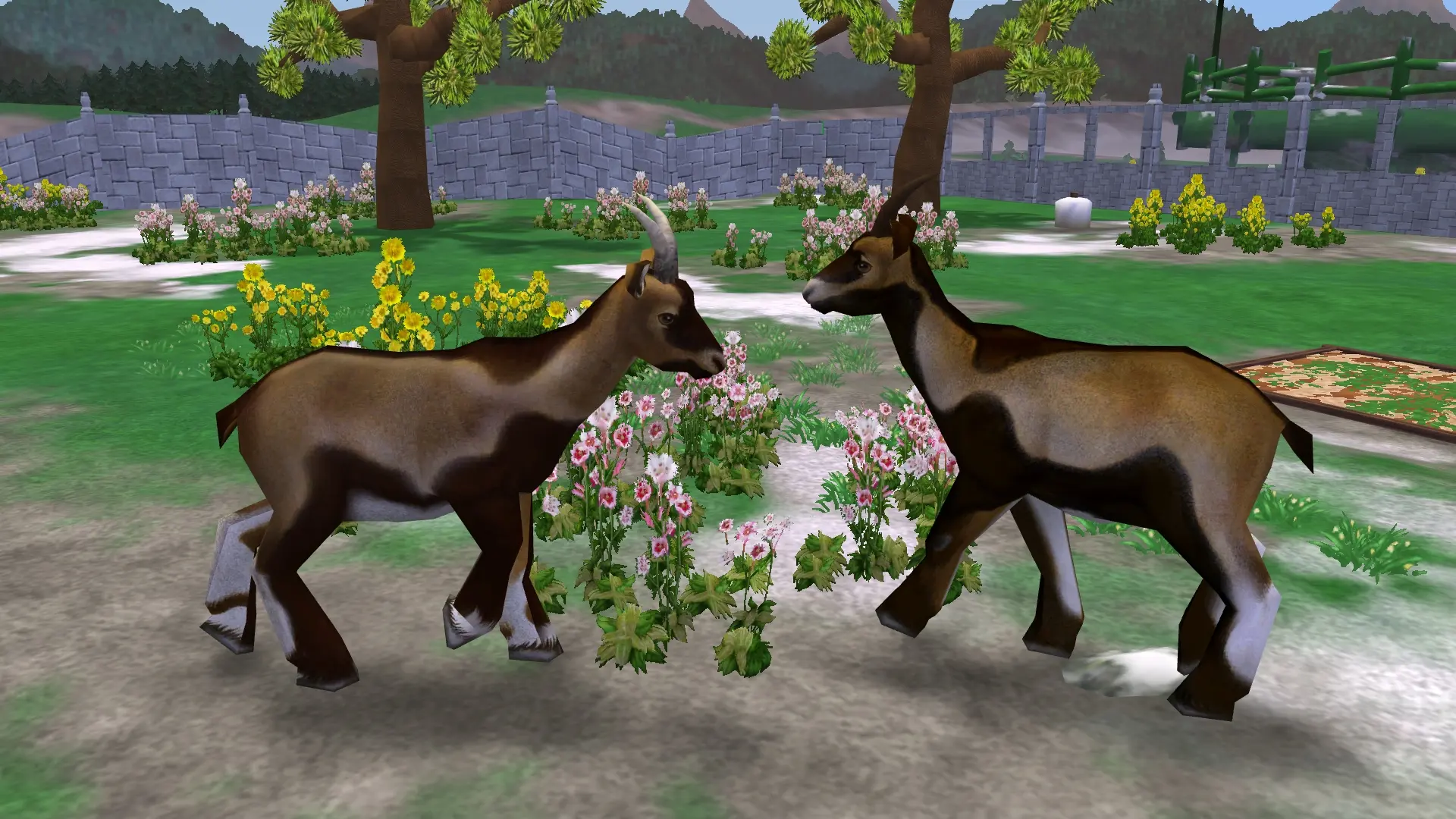 Alpine Pack | ZooBerry