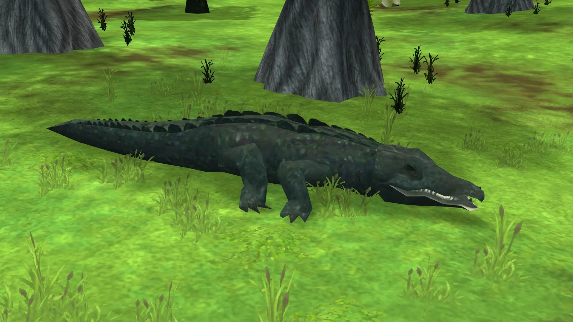 American Alligator Pack | ZooBerry