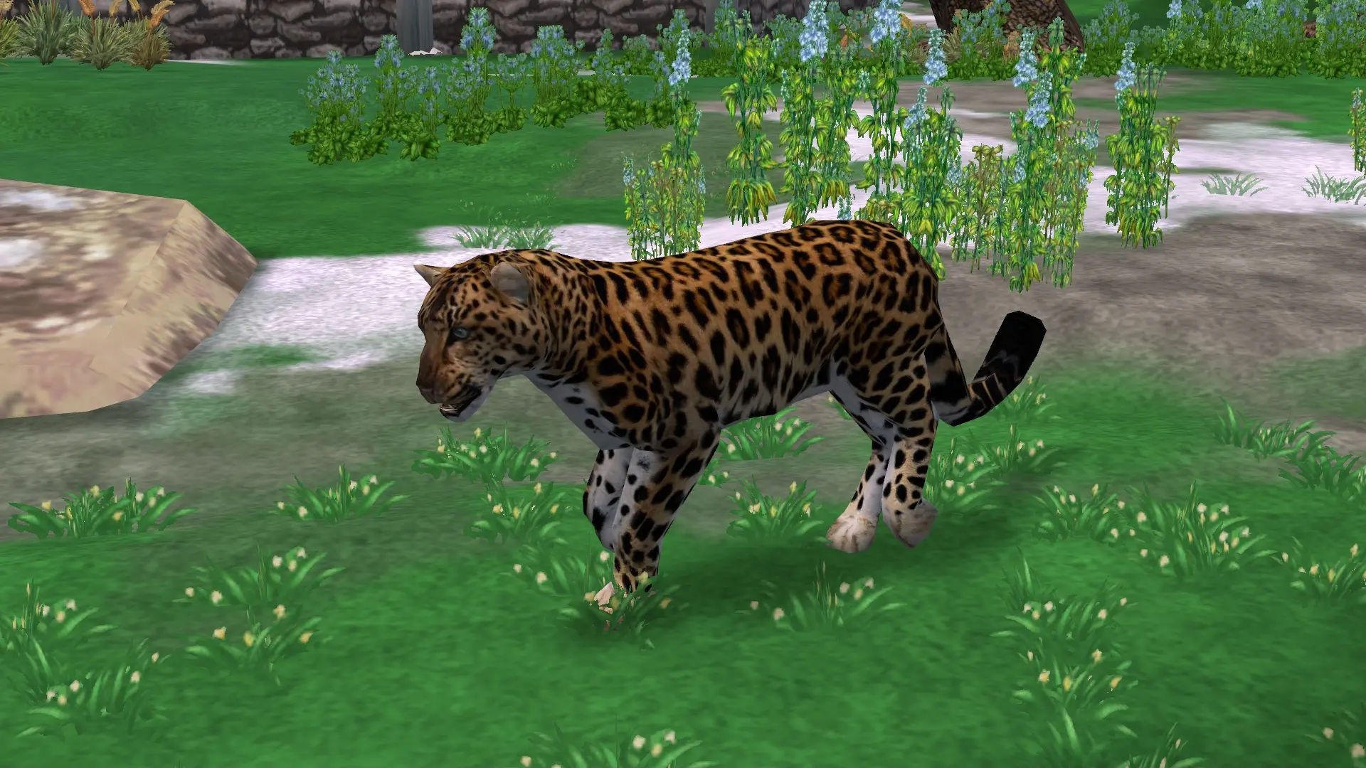 Amur Leopard Mini Pack | ZooBerry