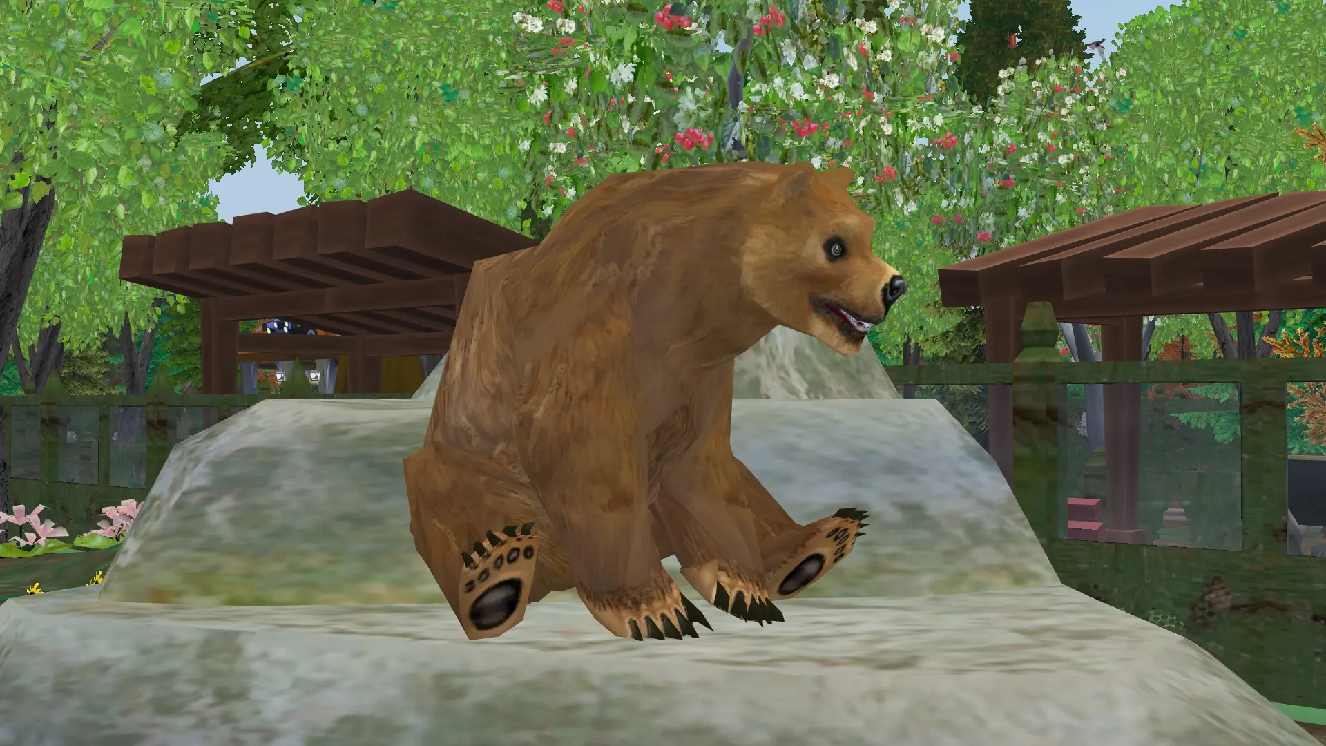 Boreal Forest Pack | ZooBerry