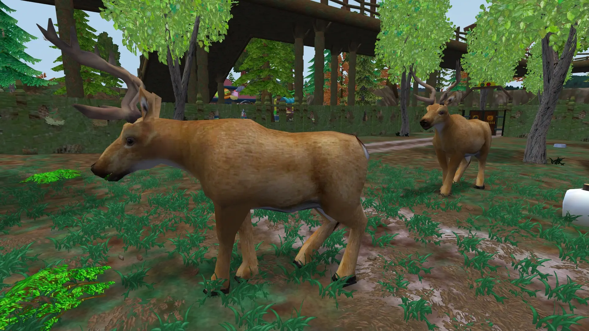 Boreal Forest Pack | ZooBerry
