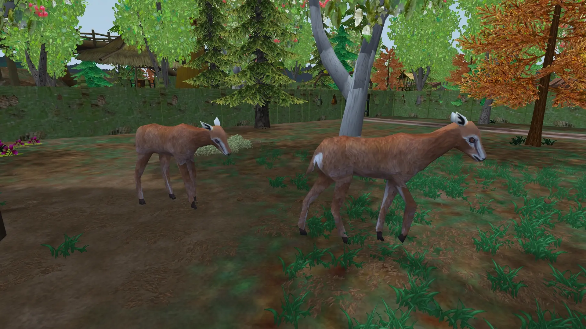 Boreal Forest Pack | ZooBerry