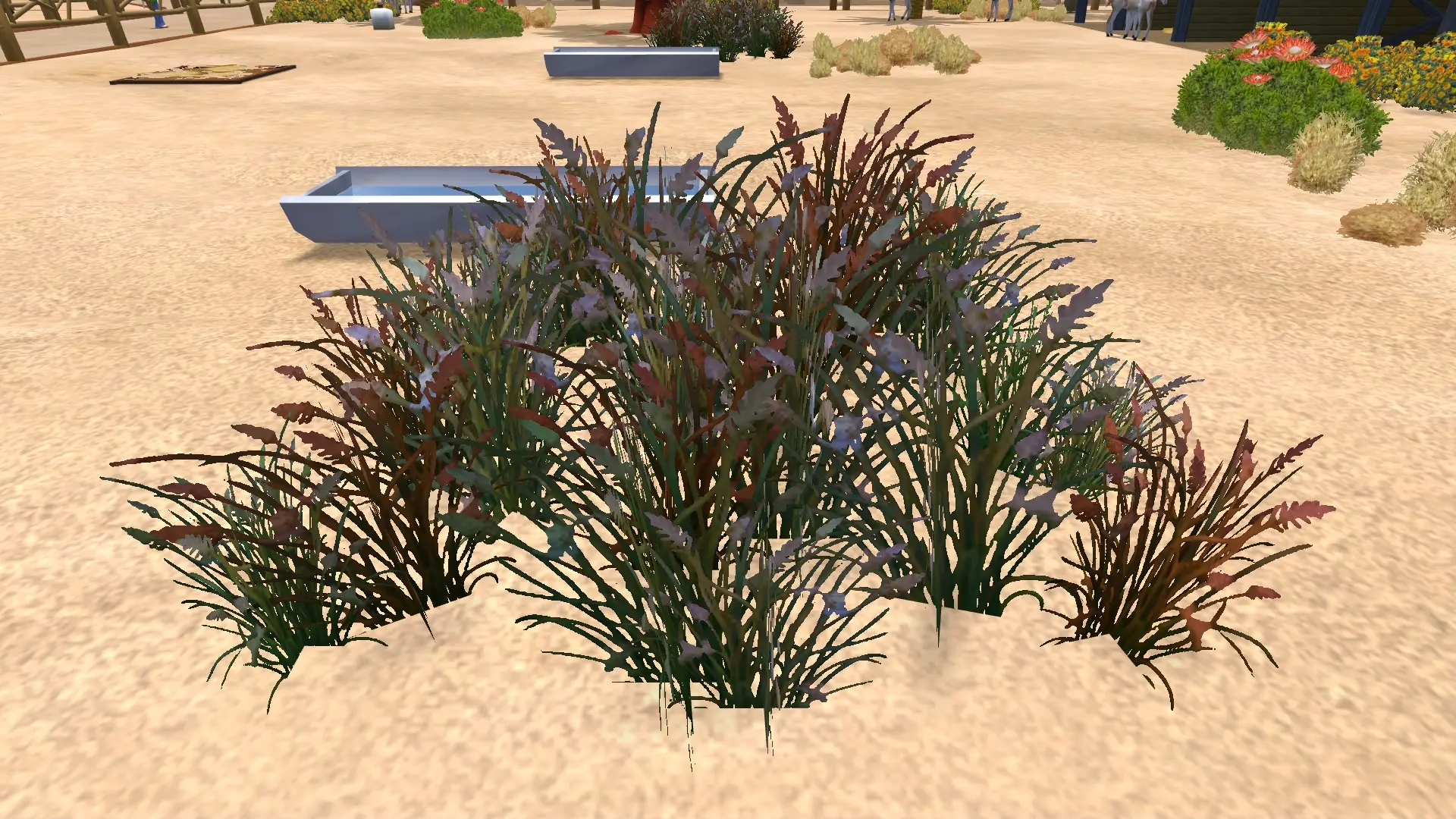 Desert Pack | ZooBerry