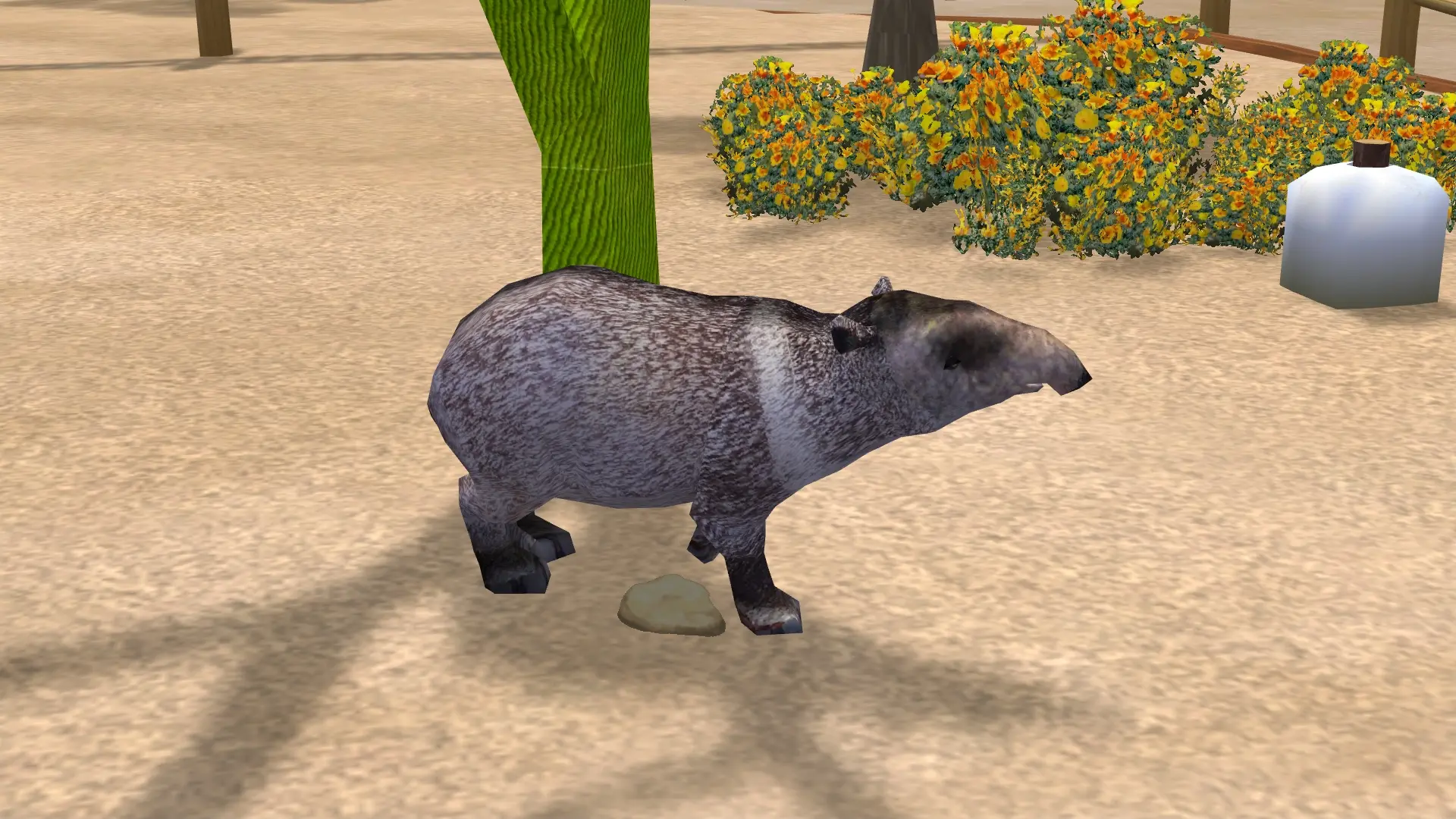 Desert Pack | ZooBerry