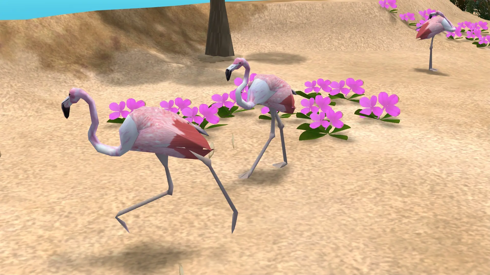 Desert Pack | ZooBerry