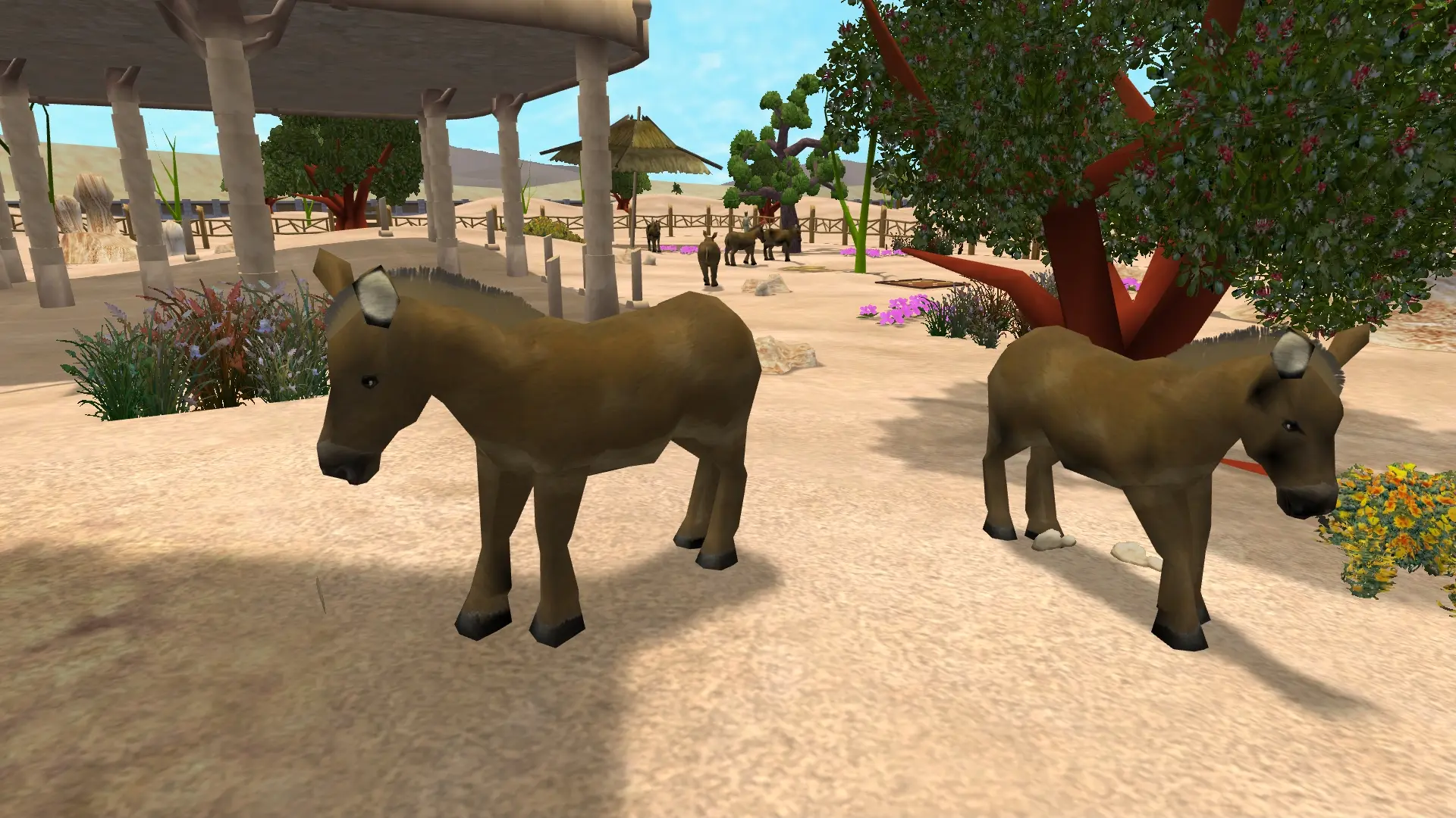 Desert Pack | ZooBerry