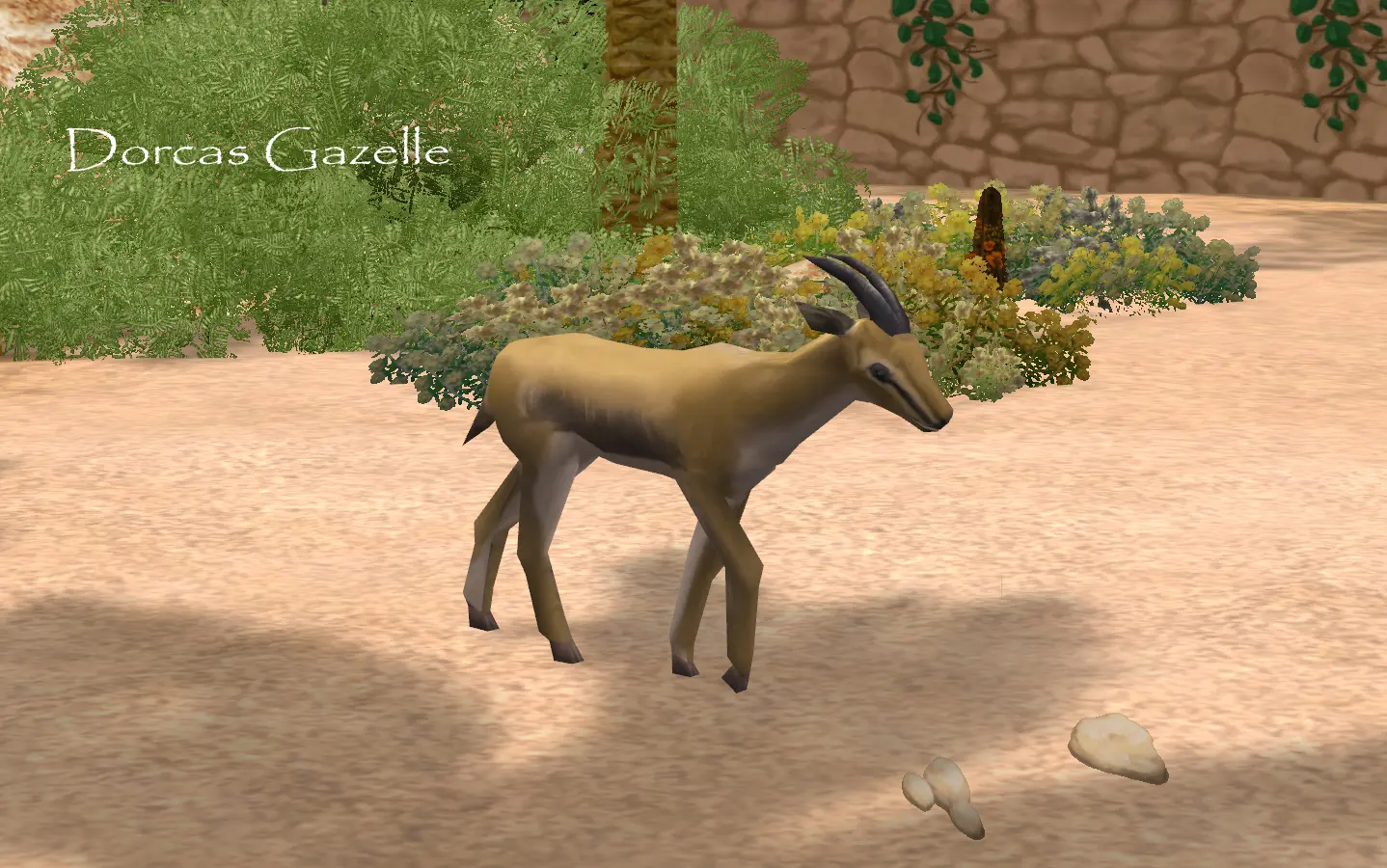 Dorcas Gazelle and Adonis Dentata | ZooBerry